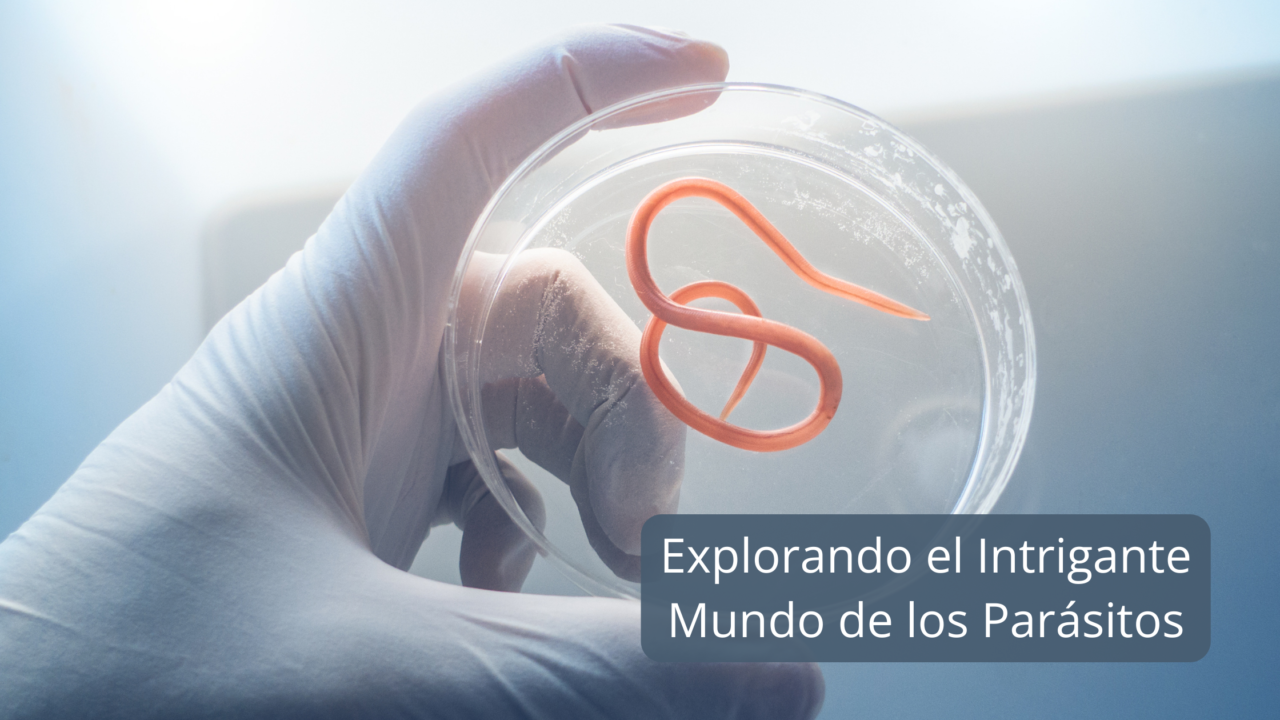 Explorando el Intrigante Mundo de los Parásitos: Desde Adaptaciones ...